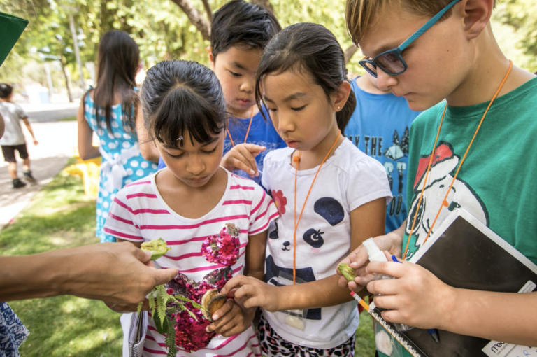 Looking All Around: Neighborhood Walk & Mapping – Teach Write Now