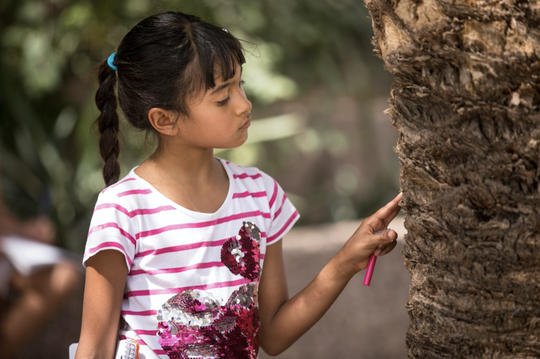 Wishes for Trees – Teach Write Now