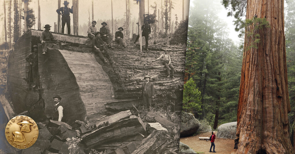 National and Local Parks Past and Present – Teach Write Now